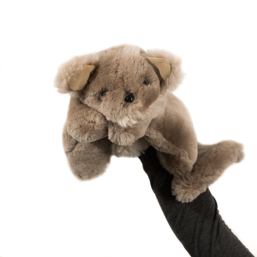 Toby Teddy and Book Gift Pack - Tambo Teddies