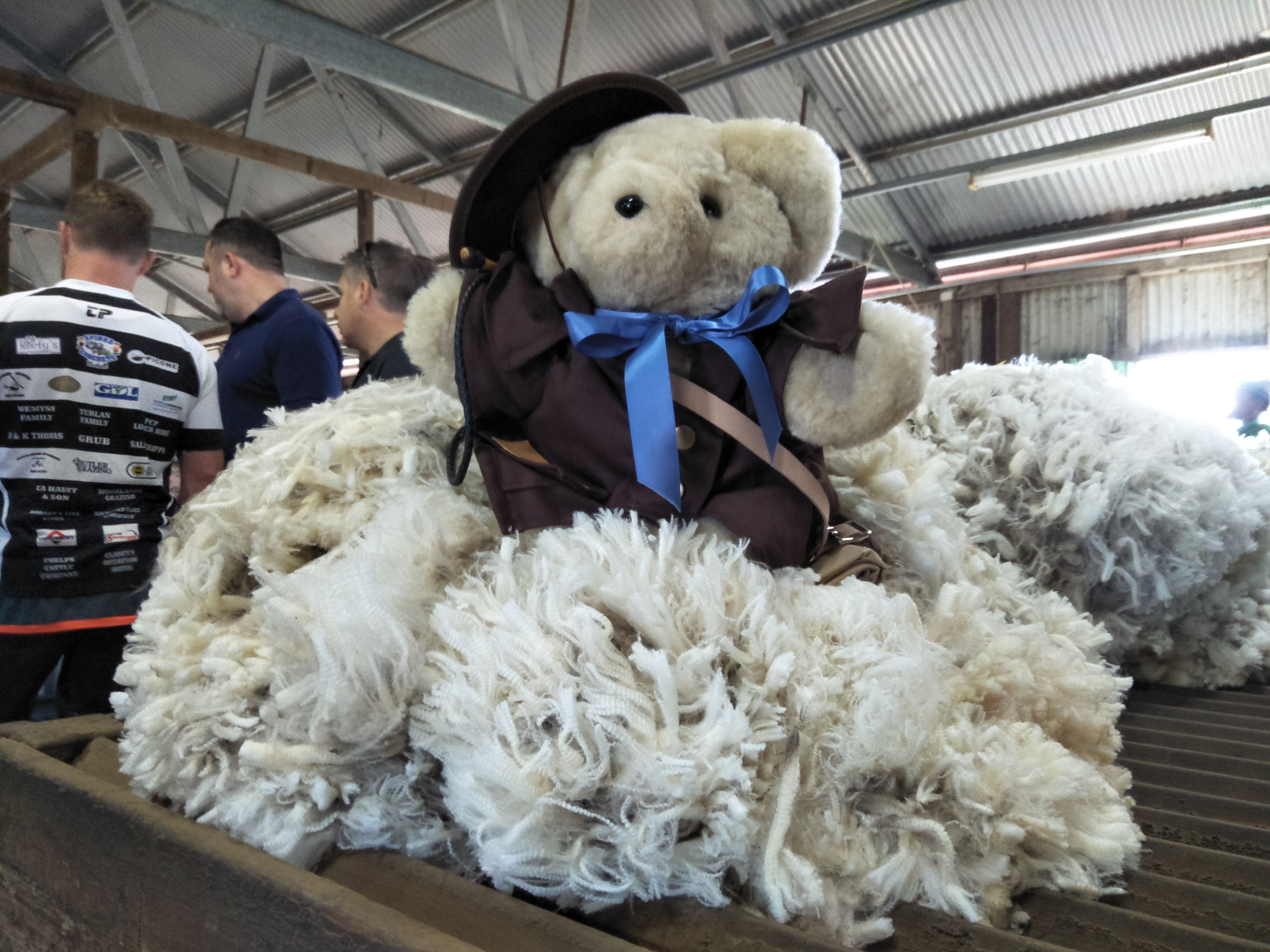 Tambo Traveller - Tambo Teddies