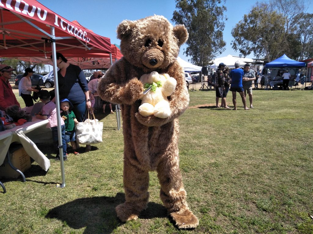 All the Bears Came out to Play - Tambo Teddies