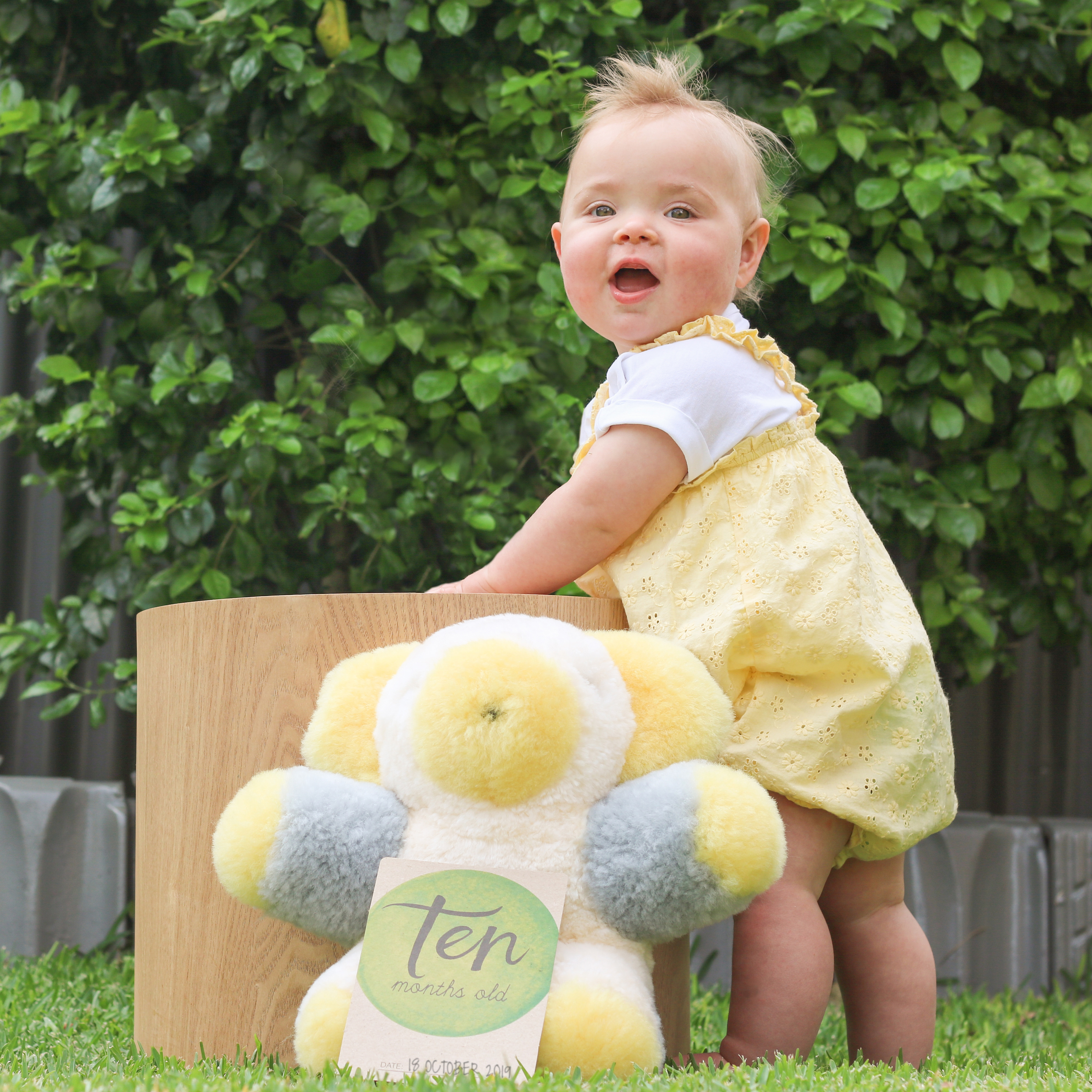 Time to share your Tambo Teddies photos! - Tambo Teddies