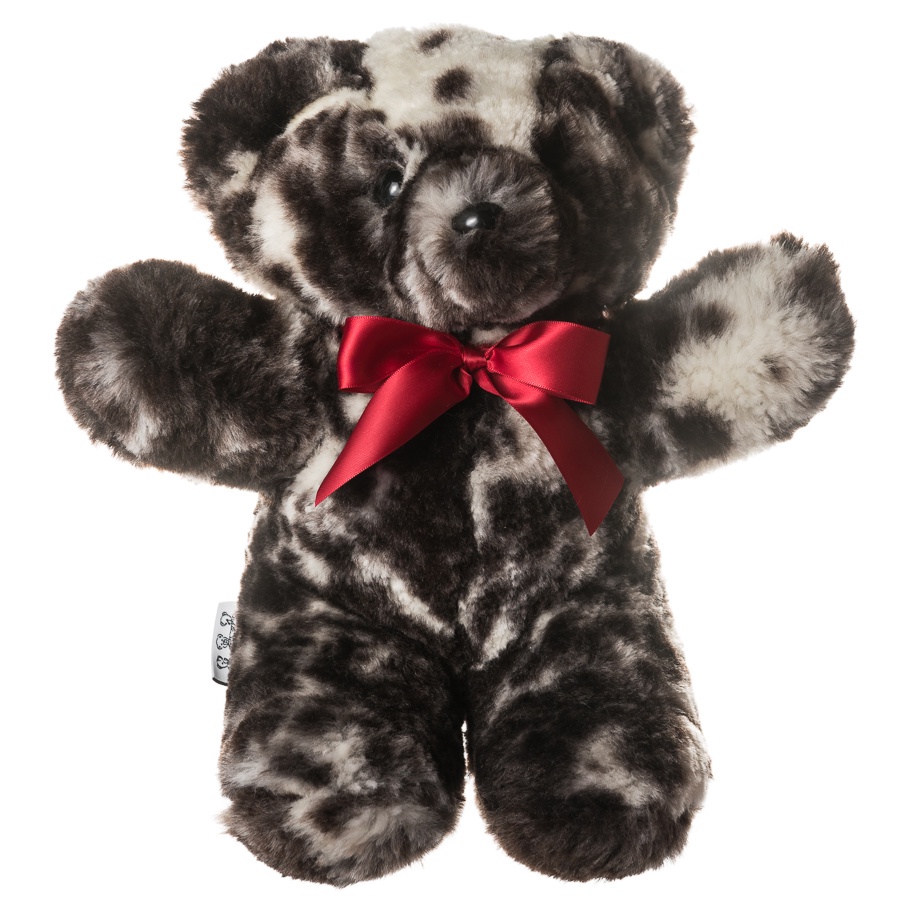 Teddy Adventures - Book Set - Tambo Teddies