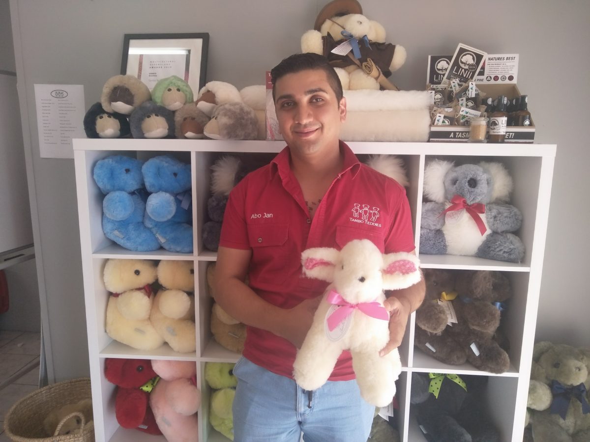 Our Favourite Tambo Teddies - Tambo Teddies