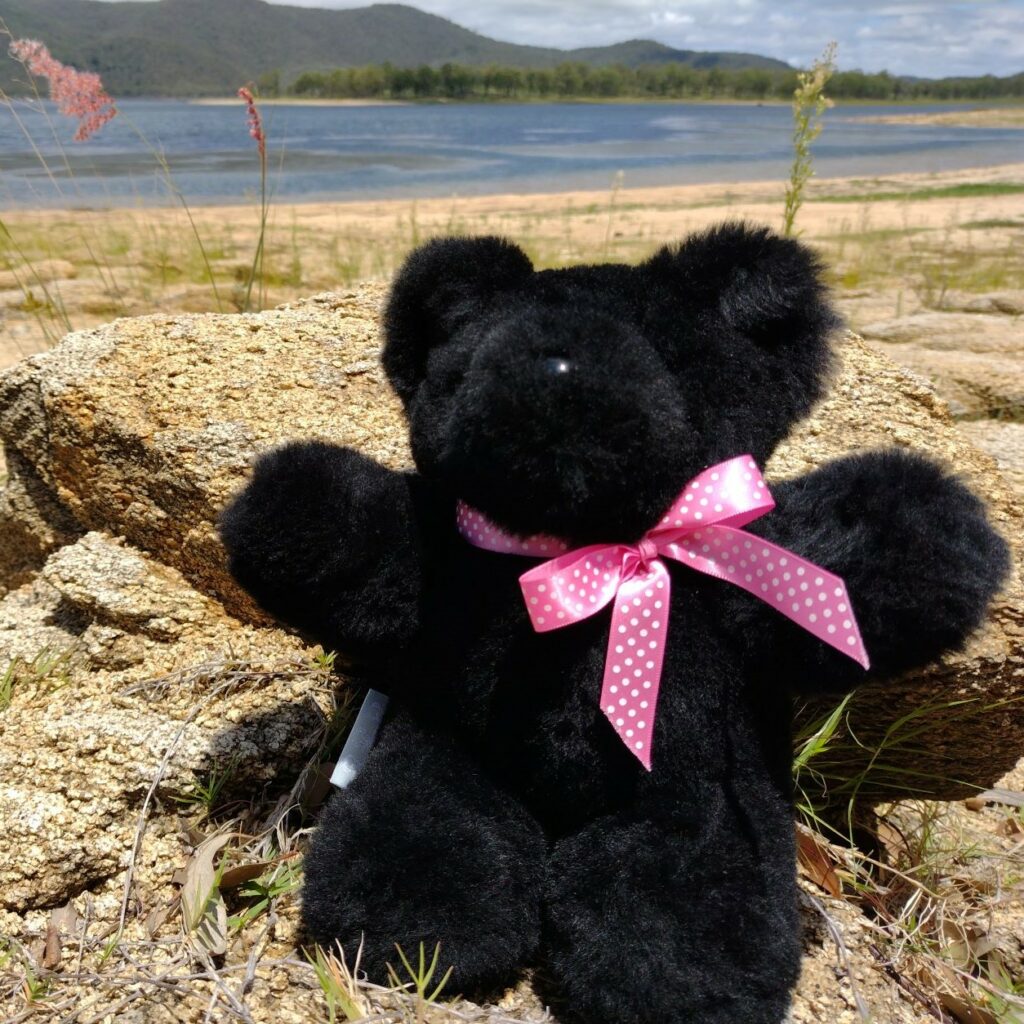 Tom Thumb Teddy Bear - Tambo Teddies