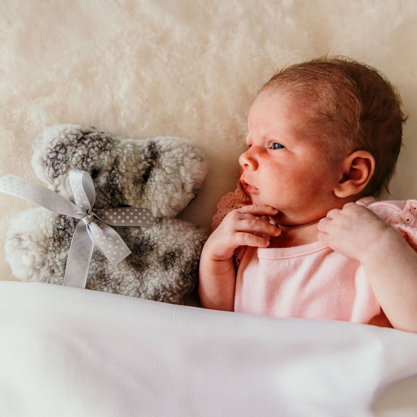 Online Teddy Bear Shop - Tambo Teddies