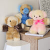 Online Teddy Bear Shop - Tambo Teddies