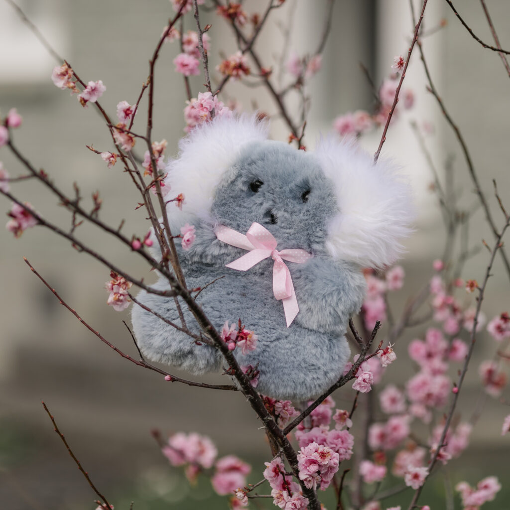 Online Teddy Bear Shop - Tambo Teddies