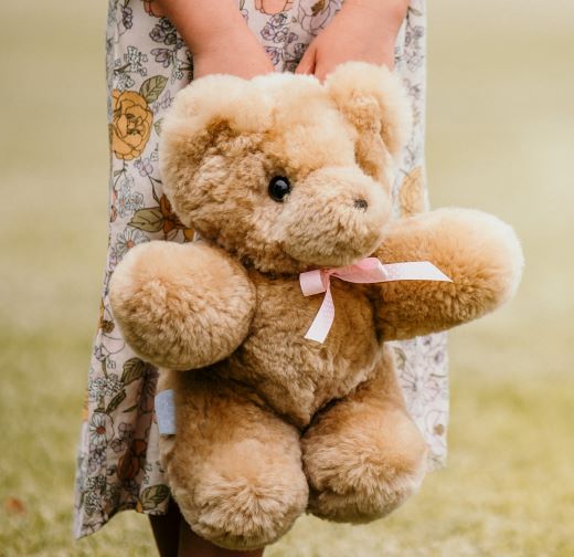 Teddy Adventures - Book Set - Tambo Teddies