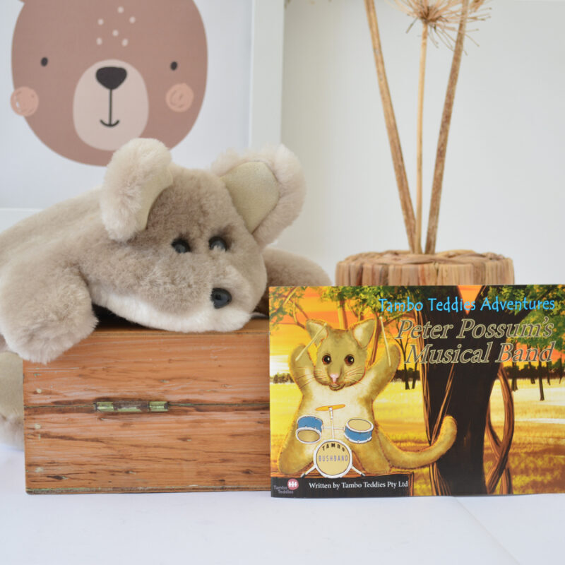Baby Boy Gift Pack - Tambo Teddies