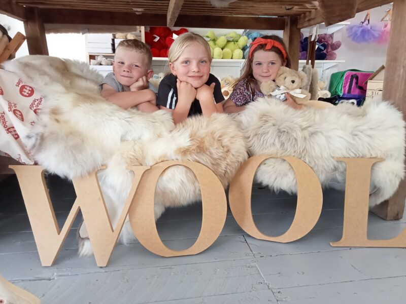 Celebrating Wool Month 2024 - Tambo Teddies