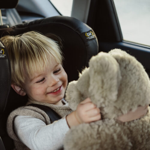 Home TT - Tambo Teddies